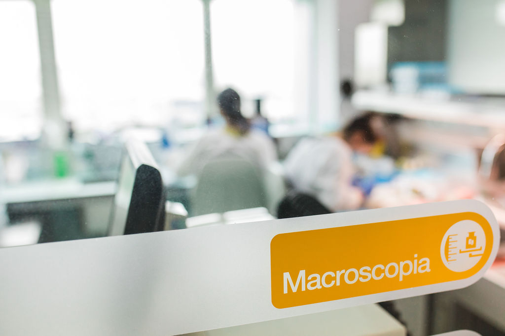 O que nos diferencia - IMP Diagnostics