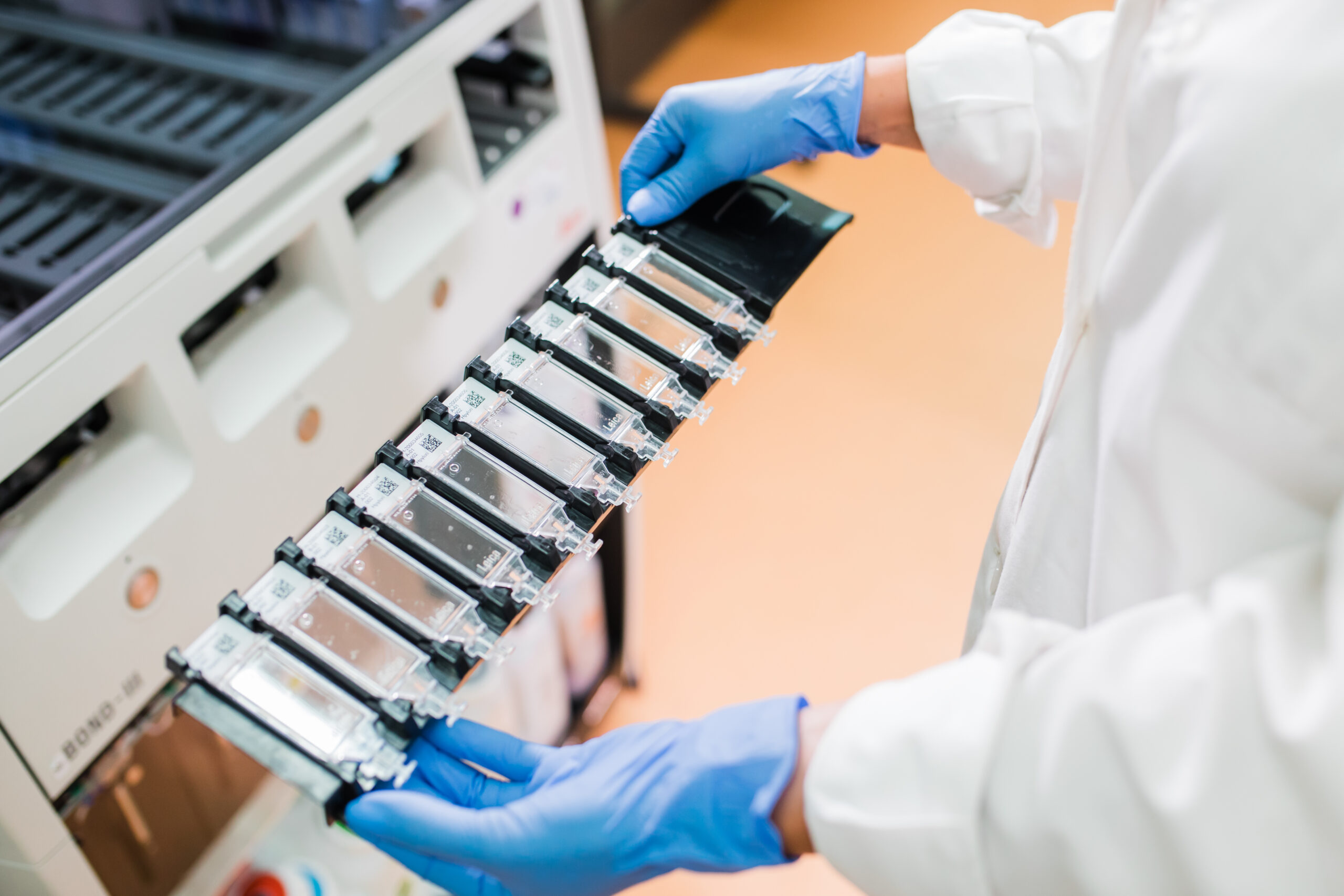 Equipa - IMP Diagnostics