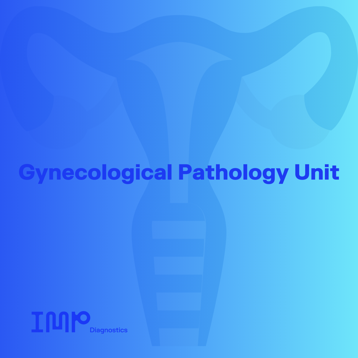 Presenting the Gynecological Pathology Unit - IMP Diagnostics