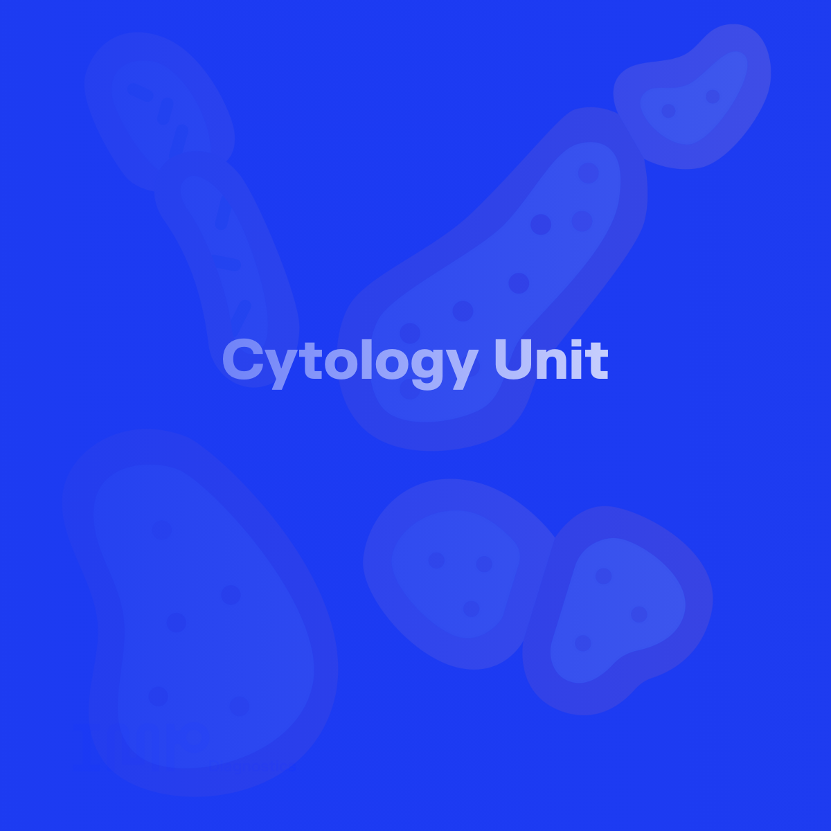 Presentation of the Cytology Unit - IMP Diagnostics