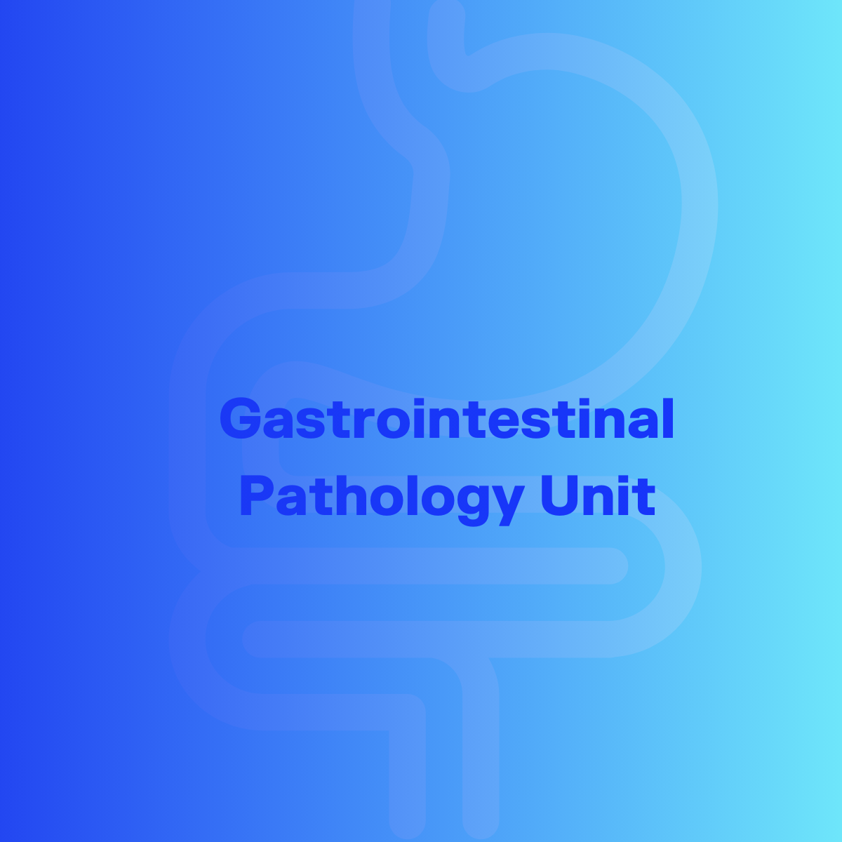 Presentation of the Gastrointestinal Pathology Unit - IMP Diagnostics