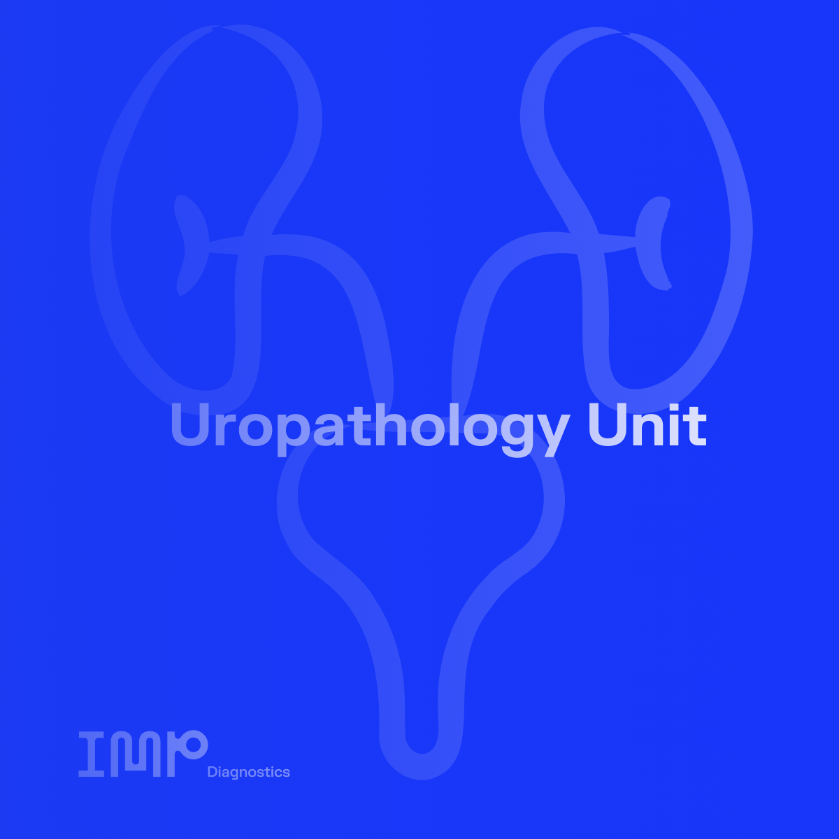 Presentation of the Uropathology Unit - IMP Diagnostics