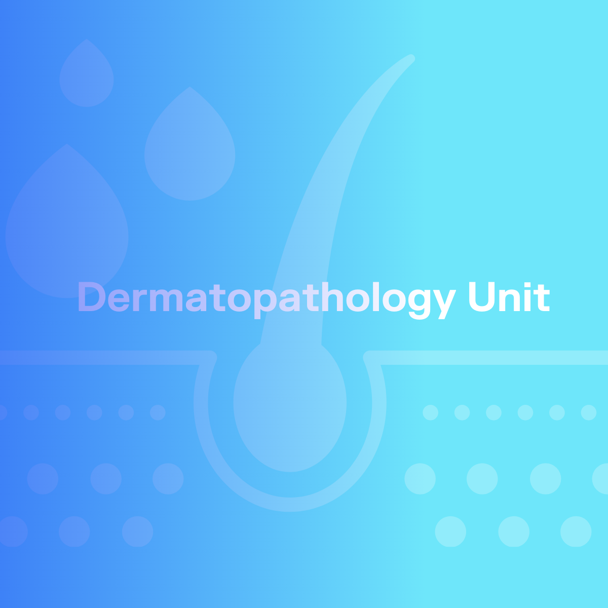 Presentation of the Dermatopathology Unit - IMP Diagnostics