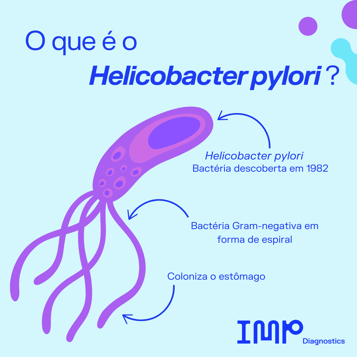 O Que é o Helicobacter Pylori? - IMP Diagnostics