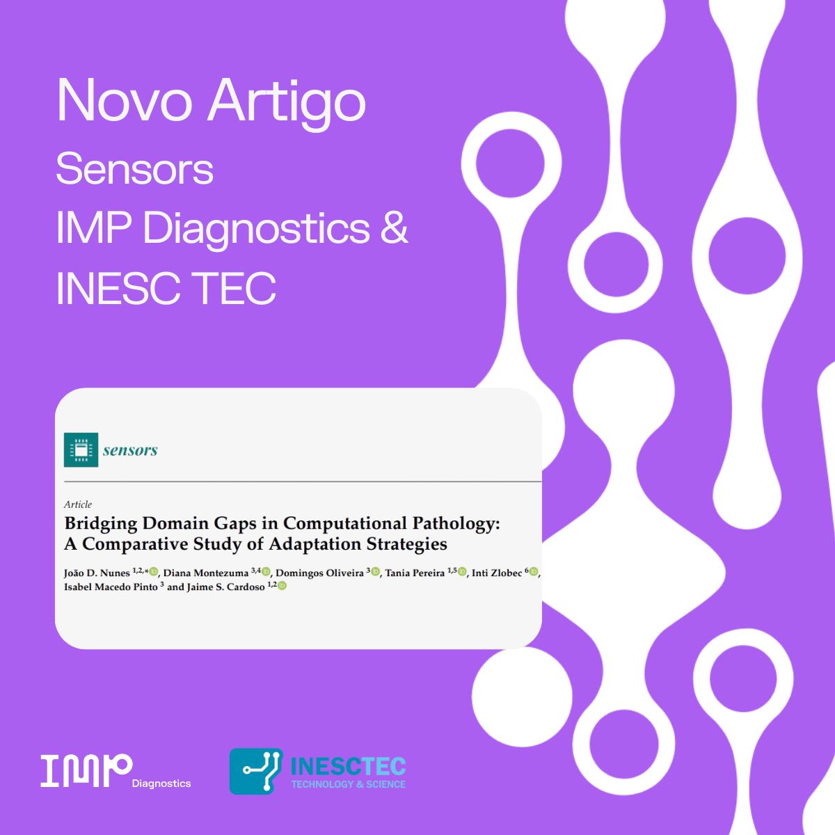 IMP Diagnostics Publica Artigo na Revista Sensors Com o INESC Tec e a ...